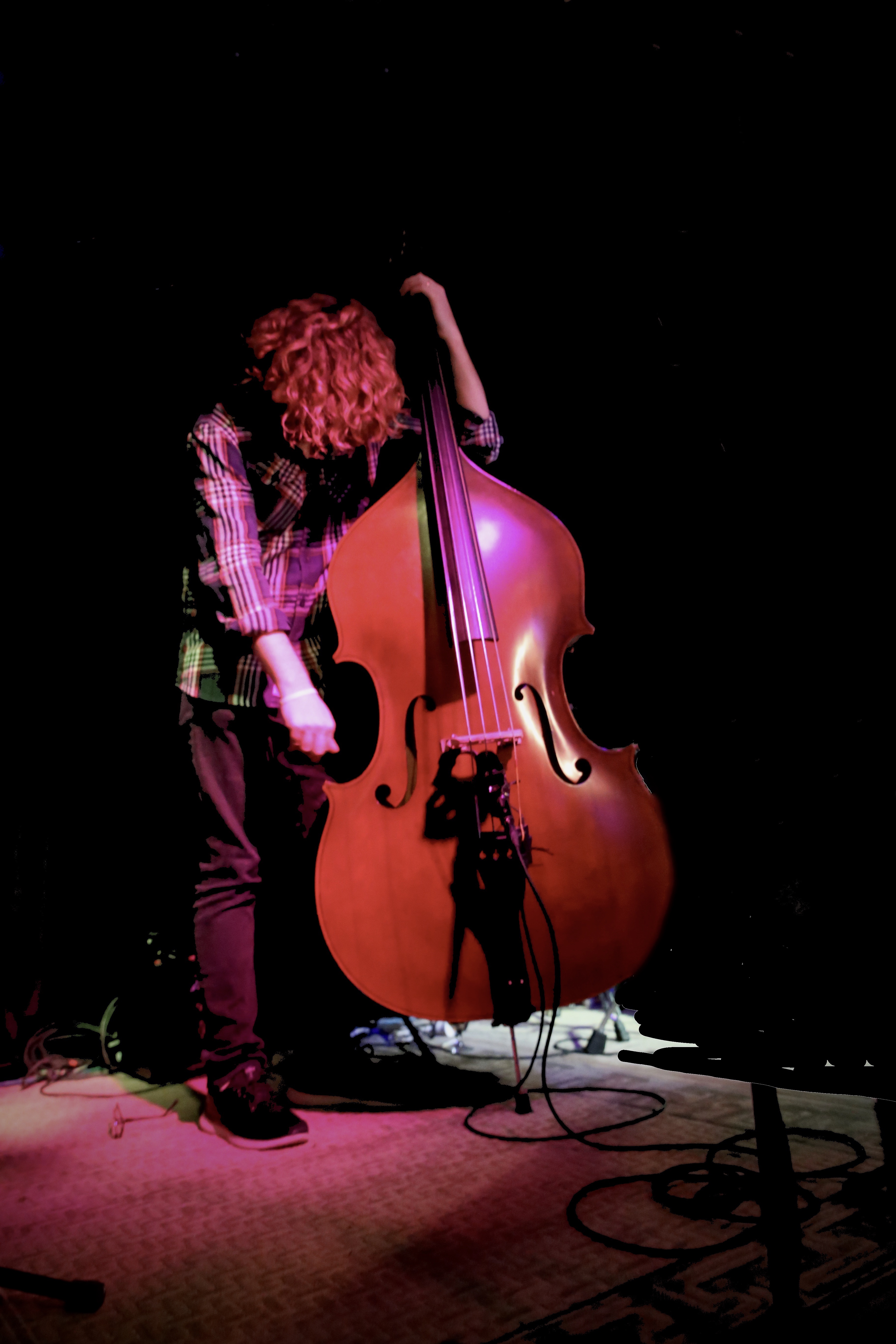 Dr Tom Botting Rediscovers Aotearoa | JazzLocal32.com